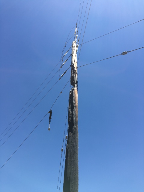 Community Highlights - New