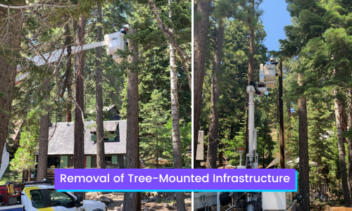 Wildfire Mitigation Projects - Residential - California Electric - Liberty